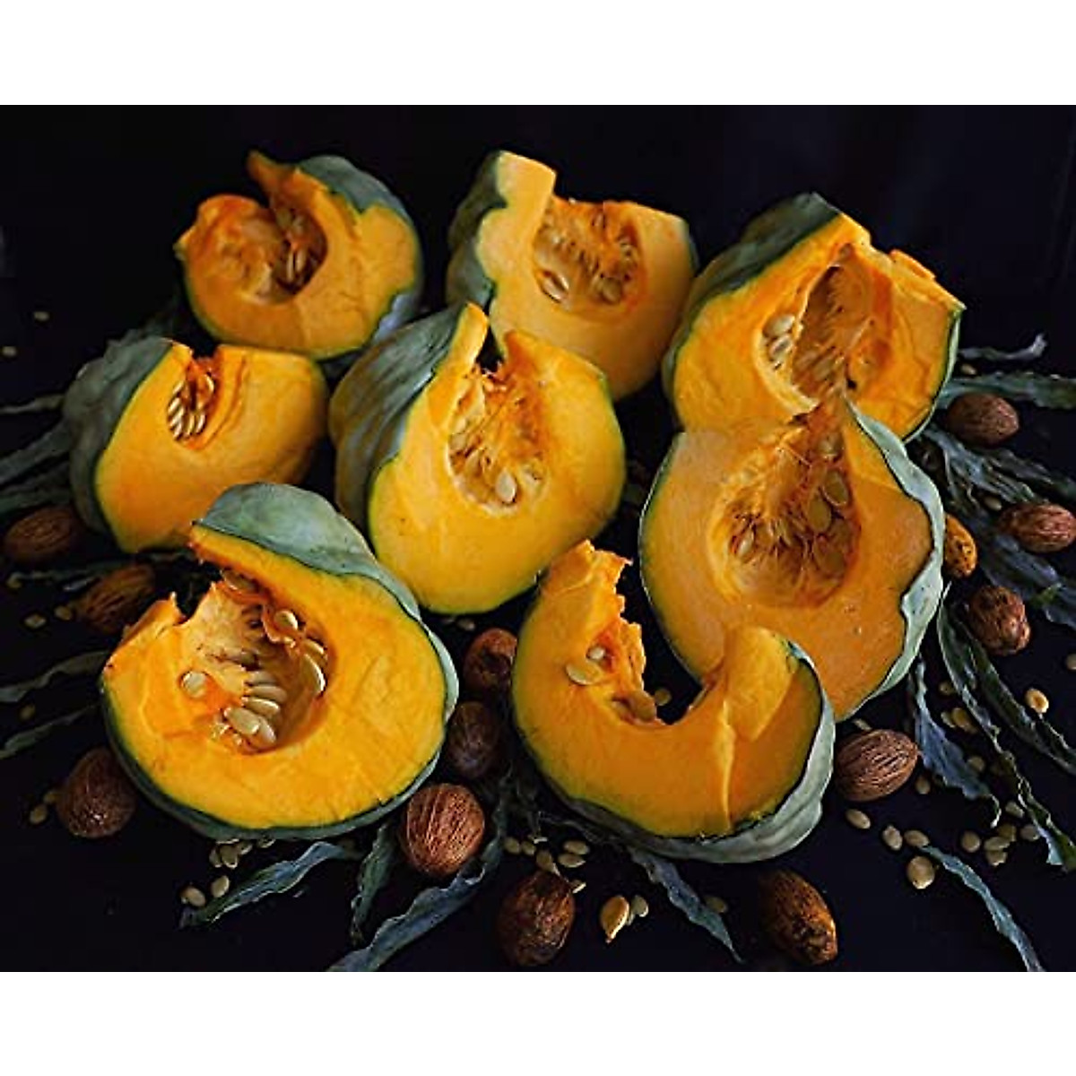 TomorrowSeeds - Jarrahdale Blue Pumpkin Seeds - 20+ Count Packet USA Garden Vegetable Winter Squash Kabocha Gray Cinderella Gourd Fall Seed