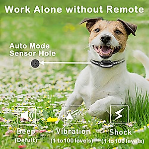 PetJoy Shock Collar for Large Dogs, Bark Collar with Remote and Automatic Mode, Dog Training Collar with Beep, Vibration and Shock, Waterproof Electric Dog Reflective Collars