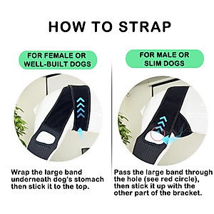 SACERKU Adjustable Canine Shoulder Leg Hip Wraps Dog Knee Brace with Side Stabilizers for Cap of Baseball(Black)