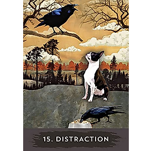 Urban Crow Oracle: A 54-Card Deck and Guidebook