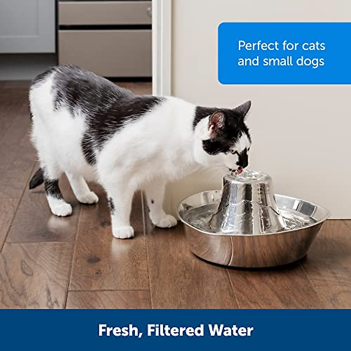 PetSafe Seaside Stainless Cat & Dog Fountain - 2 Water Filters & 1 Pump Included - Tower Creates Soothing Flow for Pets - Scratch- and Rust-Resistant Material Inhibits Pet Acne - 60 Oz Water Capacity