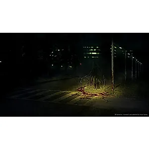 Spirit Hunter: Death Mark Limited Edition - Nintendo Switch