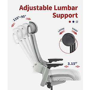 CLATINA Ergonomic High Swivel Executive Chair with Adjustable Height Head 3D Arm Rest Lumbar Support and Upholstered Back for Home Office Gray Mesh/High Back