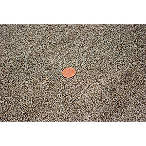 Calibonsai 1 Quart Fine Vermiculite for Seed Starting, Cuttings, Cactus & Succulent Soil Amendment, 1QFIVERMI