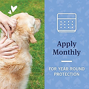 PetArmor Max Flea, Tick and Mosquito Prevention for Large Dogs (21 to 55 Pounds), Topical Dog Flea Treatment Repels and Kills, 6 Month Supply