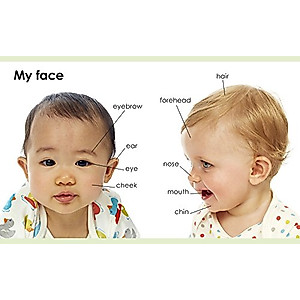 My First Body (My First Board Books)