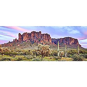 AWERT 36x18 inches Terrarium Background Blue Sky Cloud Mountain Huge Cactus Joshua Trees Oasis Gobi Reptile Habitat Background Durable Polyester Background