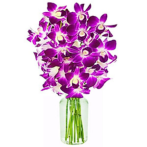 Fresh Cut Flowers -Dendrobium Purple Orchids with Vase Gift for Birthday, Sympathy, Anniversary, Get Well, Thank You, Valentine, Mother’s Day Flowers and Easter