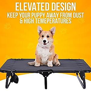 Elevated Dog Cot with Steel Frame – Foldable Raised Play & Rest Bed for Dogs & Cats – Heavy Duty Strong Material Dog Bed, No Assembly Required Large (42" x 24" x 8")