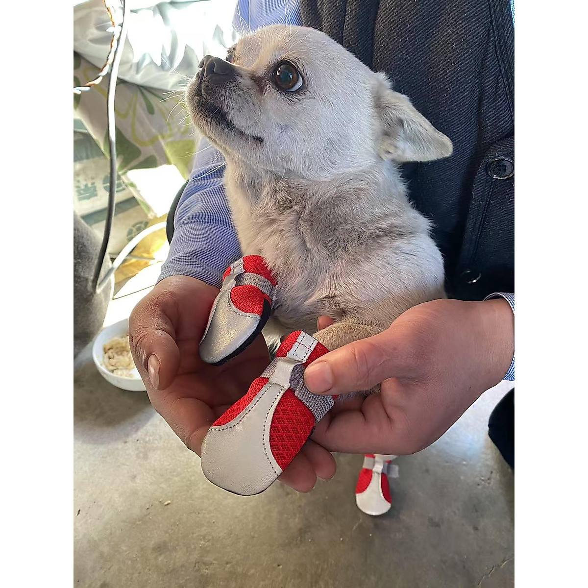 LONSUNEER Dog Boots for Small Dogs Soft Reflective and Nonslip Set of 4 (Small, Red)