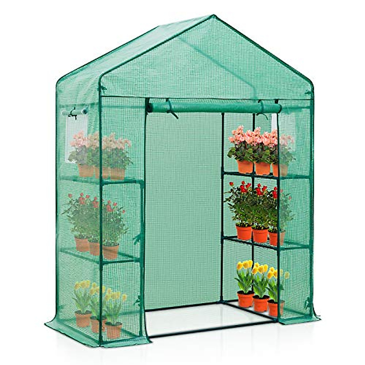 EAGLE PEAK 61'' x 28'' x 79'' Walk-in Greenhouse, 2 Tier 4 Shelves Portable Plant Gardening Greenhouse, Front Roll-Up Zipper Entry Door and 2 Roll-Up Side Windows, Green
