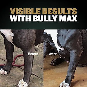 Bully Max 11-in-1 Muscle Gain Power Chews - High Protein Dog Supplement with Amino Acids - Healthy Treats for Puppy & Adult Dogs - Premium Muscle Builder for All Breeds - 75 Tasty Soft Dog Chews