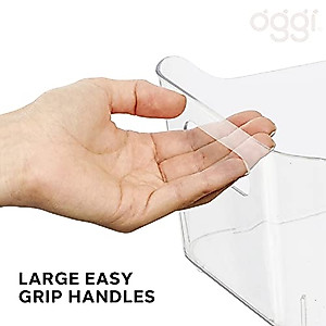 OGGI Storage Bin w/Handles, 13˝ x 9˝ x 6˝, Clear