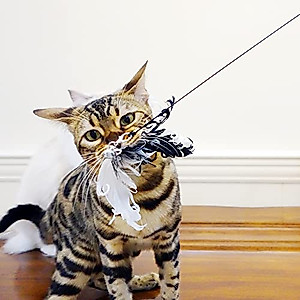 TTcat Cat Wand Toys, 35'' Flexible Steel Wire and 4PCS Cat Feather Toys Cat Teaser Toy Refills, Interactive Cat Toy Wand Kitten Toys for Indoor Cats to Play Chase Exercise…