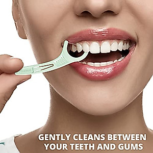 Plackers Micro Mint Dental Flossers, Fresh Mint Flavor, Fold-Out Toothpick, Super Tuffloss, Easy Storage with Sure-Zip Seal, 300 Count