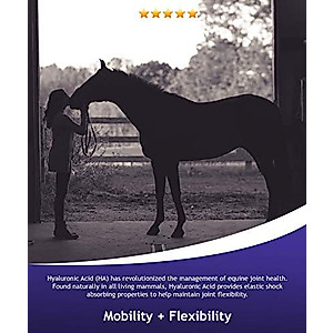 Hyalogic Hyaluronic Acid Gel for Horses Orally Administered with Syringe for Equine Joint & Cartilage Support - Hyalun Pro Gel - 1 oz / 30 ml (3 Full doses) - Pre- and Post-Event Booster