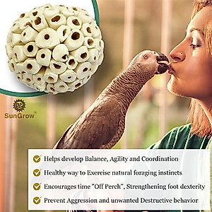 SunGrow Sola Atta Foraging Balls, 2”, White Soft Shred Parrot Chews, Bird Chewing Accessories for Conure, Budgie, Parakeet, Cockatiel, Rabbits, Hamsters, and Other Small Pets, 3 Pcs/Pack