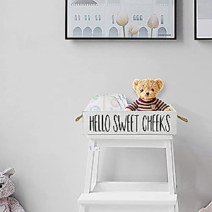 Bathroom Decor Box 2 Sides Funny Toilet Paper Holder Wood Tank Box Over Toilet Paper Storage Basket with Rope Handle Rustic Bathroom Paper Organizer Box with Funny Sign Farmhouse Home Decor Box