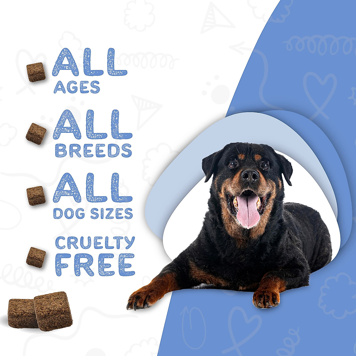 waggedy Great Start Puppy Bundle Multivitamin & Calm Aid – Large or Small Breed Puppy Supplement: Stress, Anxiety, Joint, & Immune System Support (One to Two Month Supply) 120 Puppy Treats