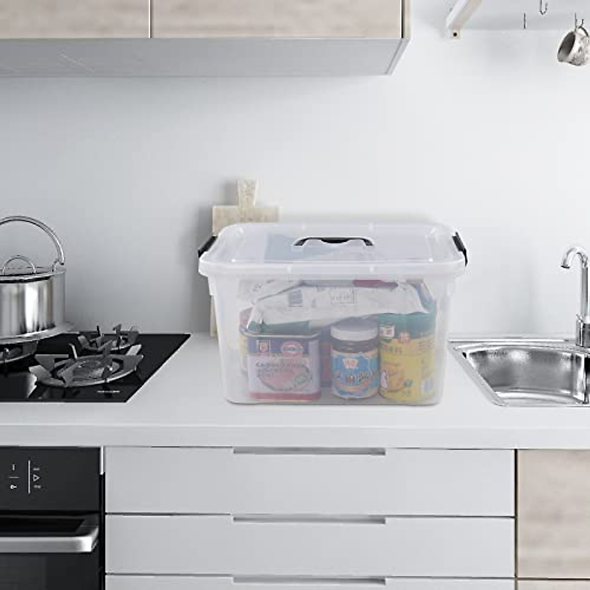 Bblina 10 Liters Clear Storage Boxes, Plastic Organizer Tote Bins Set of 6