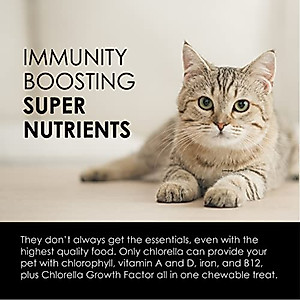 Sun Chlorella Rejuv-A-Wafers Daily Dog Cat & Animal Superfood Supplement - Green Microalgae & Eleuthero Bits - Vitamins, Minerals, Antioxidants Support Immune Defense, Gut Health - 60 Wafers
