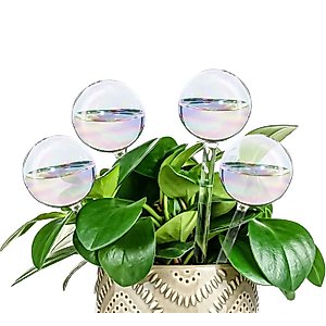 Koorabbee 4 Pcs Iridescent Glass Plant Watering Globes - 9 Inch Self Watering Planter Insert | Plant Watering Devices | Plant Watering Bulbs for Indoor and Outdoor Plants Accessories.