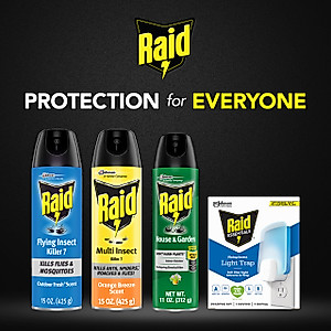 Raid S C Johnson Wax 81666 Fly/Insect Killer, 18-Ounce