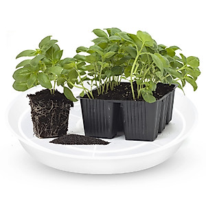 OUPSAUI 4 6 8 Inch Plant Saucer Pot Tray, 6 Pack Clear Plant Saucers for Indoors and Outdoors, Large Plastic Dish Suacer Water Drip Tray for Potted Plants Flowers (4 6 8 Inches)