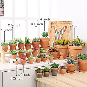 Yishang 1.9 Inch Tiny Terracotta Pots Pack of 12-Small Mini Clay Pots with Drainage Holes Flower Nursery Terra Cotta Planter for Tiny Cactus Herb lithop,Succulent Plants,Crafts,Wedding Favor