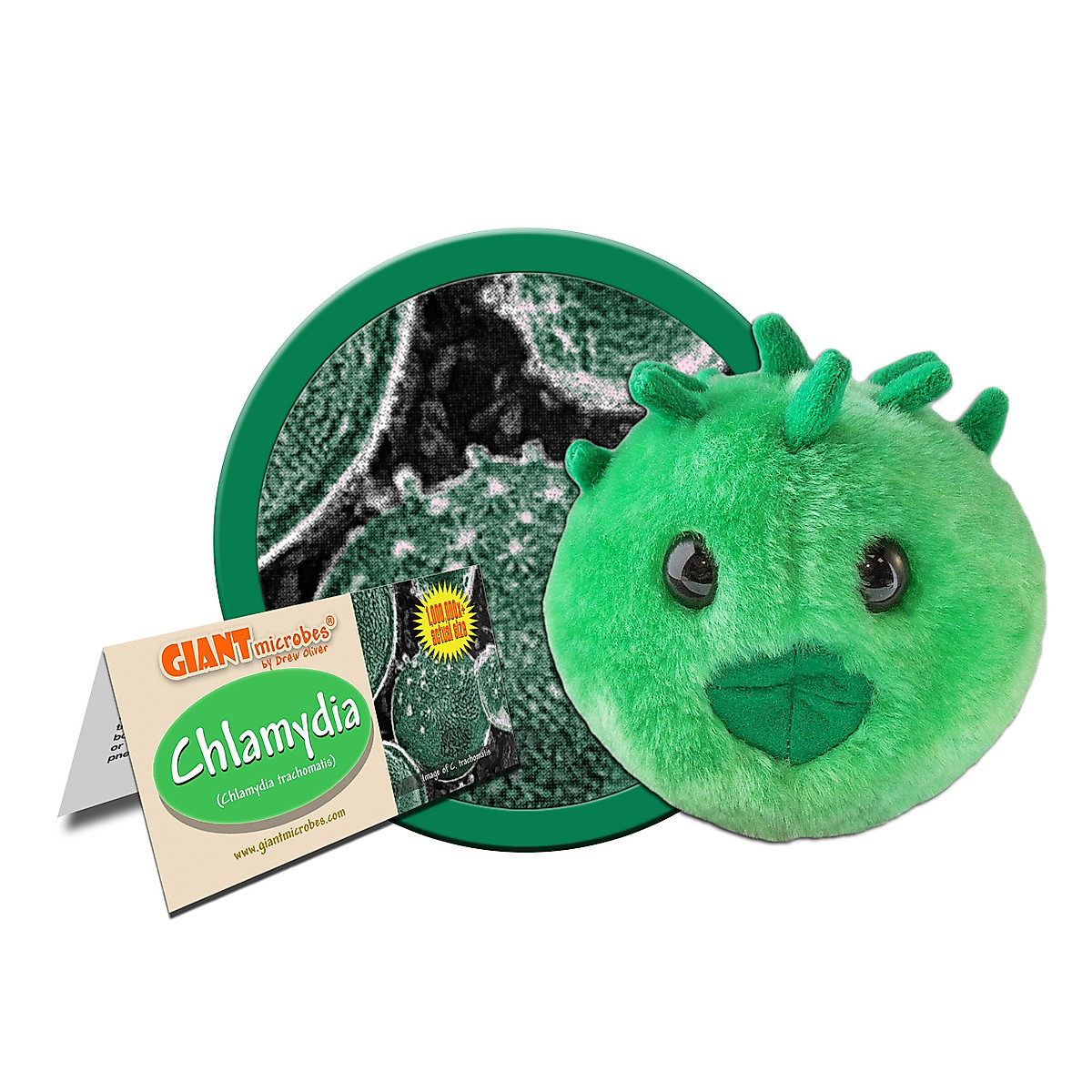 GIANTmicrobes Chlamydia Plush - Learn All About STIs, Educational Gift for Friends, Scientists, Family, Healthcare Experts, Public Health, Doctors, Students and Anyone with a Healthy Sense of Humor