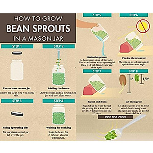 Sprouting Jar Strainer Lid - For Growing Organic Sprouts & Sprouter Screens - 304 Stainless Steel