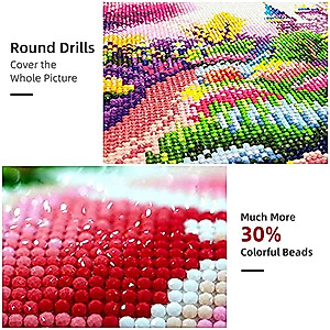 FILASLFT Stitch Diamond Painting, Diamond Art Stitch, Diamond Painting Kits for Adults, Diamond Painting Stitch Gem Art Craft DIY Home Wall Decor 12 x 16 inch (Galaxy Stitch Diamond Painting)