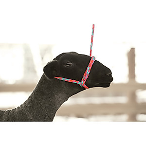 Weaver Livestock Poly Rope Sheep Halter, Modern Style Braid Sheep and Goat Rope Halter, Adjustable Lamb Halter Lead, Livestock Sheep Showing Supplies