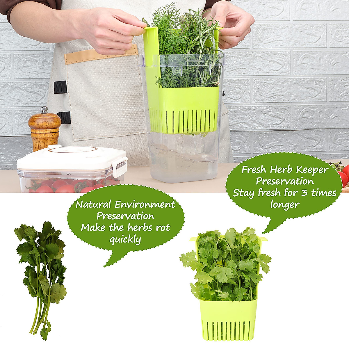 2 Pack Fresh Herb Keeper for Refrigerator, Clear BPA-Free Herb Saver, Storage Container for Cilantro, Parsley, Thyme, Mint & Asparagus, Preserver Keeps Fresh Herbs for 3 Times Longer, Green & Blue