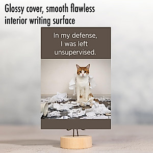 NobleWorks - 1 Funny Retro Birthday Greeting Card - Women's Birthday Celebration Humor, Vintage Notecard - Unsupervised Cat C9369BDG