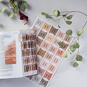 DiverseBee Spanish Bible Tabs (Large Print, Easy to Read), Bible Journaling Book Tabs, Christian Gift, 66 Bible Tabs Old and New Testament, Includes Catholic Books and 9 Blank Tabs (Paz)