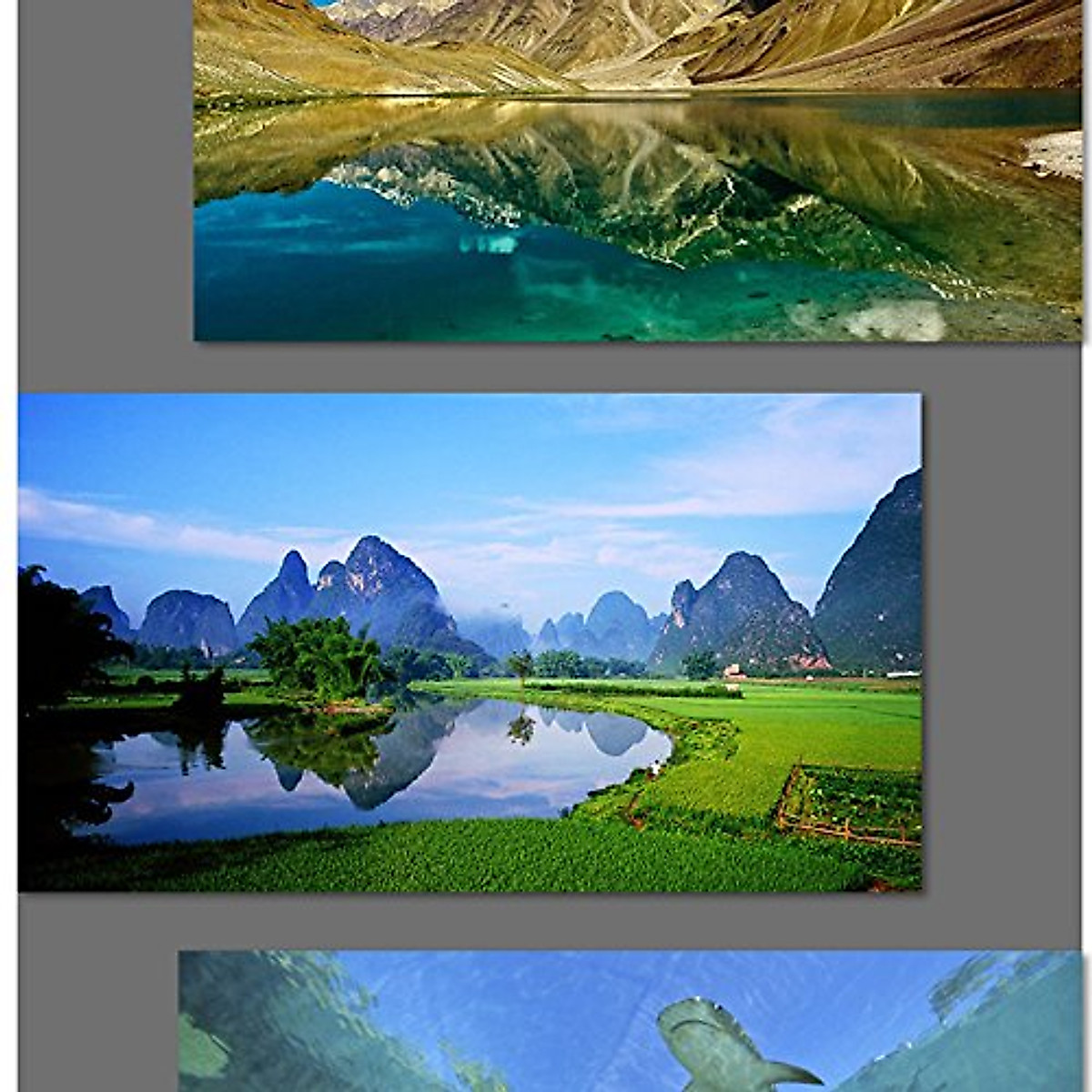 Zomei 55mm CIR-PL Circular Polarizing CPL Filter for Canon Nikon Sony Pentax Fujifilm Olympus DSLR Camera Lens