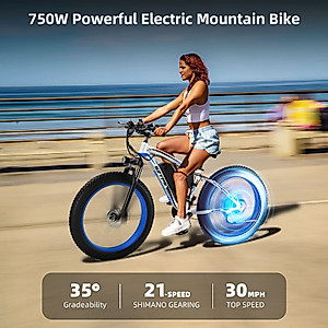 Electric Bike,26''Electric Bike for Adults with 48V 13Ah Removable Battery,750W Fat Tire Electric Bike,30 MPH Electric Mountain Bike,21 Speed E-Bike with Phone Charger Mount