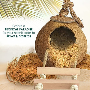 SunGrow Hermit Crab Coconut Hut with Ladder and Bedding, Perfect Mansion for Geckos, Pocket Pets, Small Birds, and Hermit Crabs, 1.5 oz. Bedding Included for Amazing Value