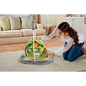 Fisher-Price Woodland Friends SpaceSaver Jumperoo [Amazon Exclusive]