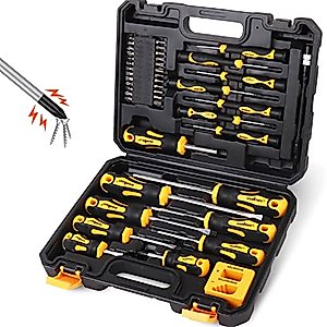 HORUSDY 43-piece Screwdriver Set, Include Phillips, Slotted, Pozidriv, Hex, Torx, and Magnetizer demagnetizer Precision Screwdriver Set for Tools for Men