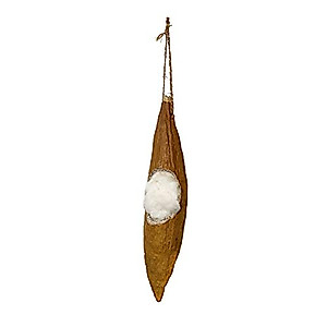 Penn-Plax Kapok Pod for Birds and Small Animals – Meets and Satisfies The Various Chewing and Nesting Needs of Tiny Critters