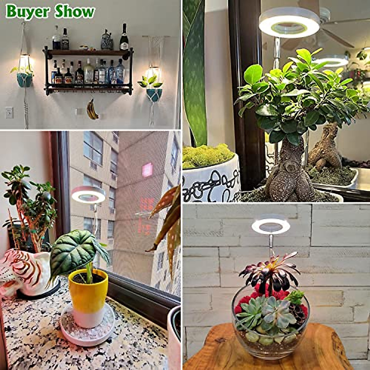 Grow Lights for Indoor Plants, 48LEDs Full Spectrum Halo Grow Light with Auto On/Off Timer, 3 Optional Spectrums, Height Adjustable,10 Brightness, Small Grow Light for Seed Starting, Succulents