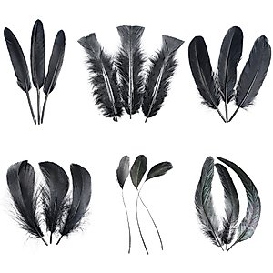 Larryhot Black Craft Feathers Bulk - 240pcs 6 Style Mixed Natural Feathers for Wedding Home Party, Dream Catcher Supplies and DIY Crafts (Black)