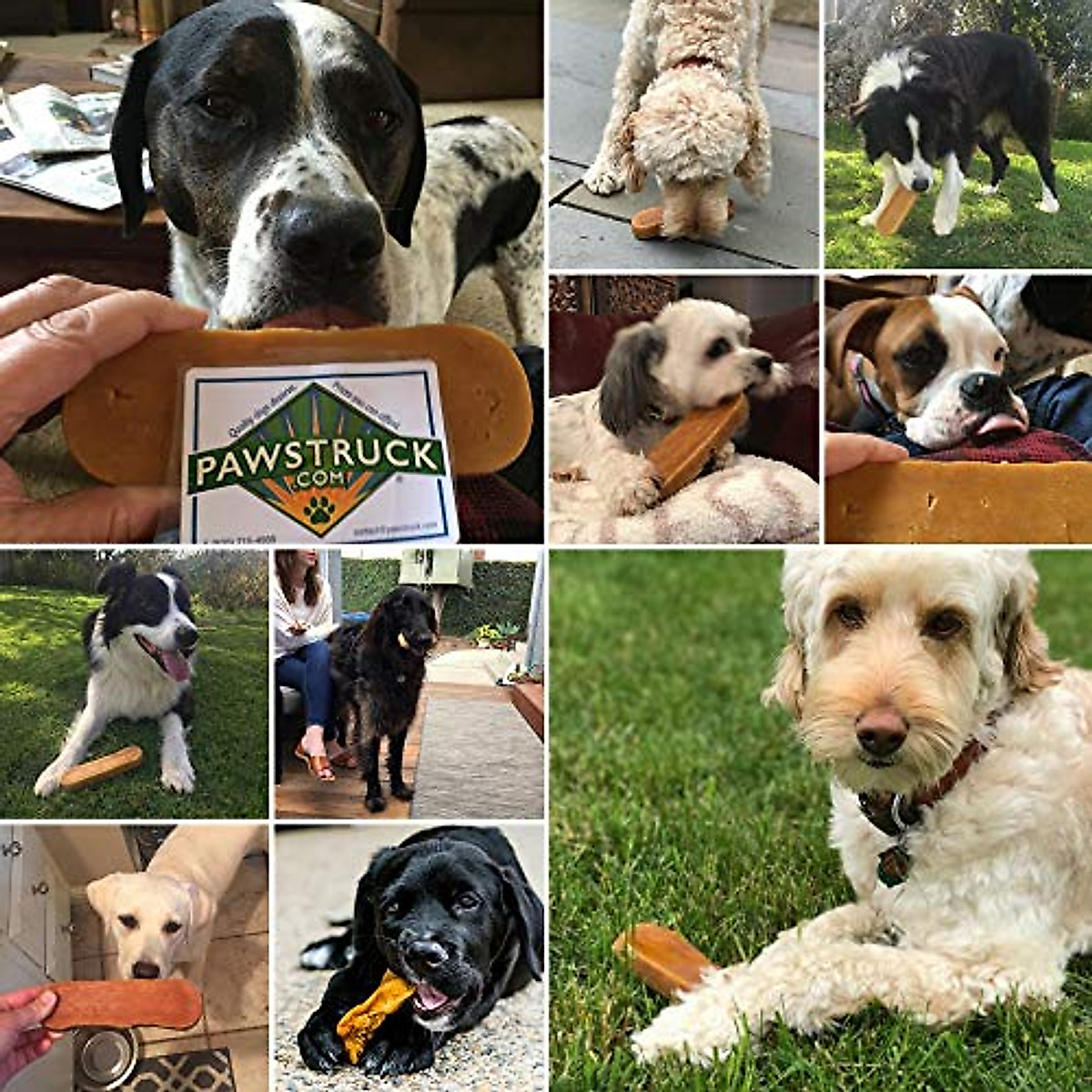 Pawstruck Monster Himalayan Yak Dog Chew Pet Food (6 to 7 oz.) Natural Yak & Cow Milk/Cheese Long-Lasting, Jumbo Treat for Dog, Best XL Thick Chew Stick, 7 Ounces