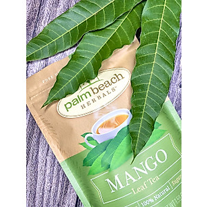 Mango Leaf Tea by Palm Beach Herbals, 30 Count Tea Bags, Caffeine-Free | Pure Herbal Tea Series