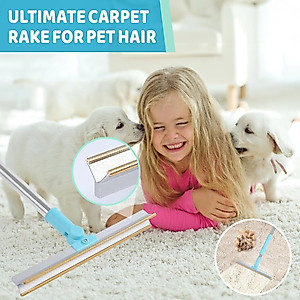 The Bouncing Bow Pet Hair Remover - Handle Carpet Rake & Magic Squeegee Broom, Easy Dog & Cat Fur Sweeper for Carpets, Rugs, and Household Cleaning