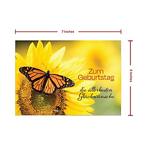 Burg Street Creations German Birthday Card - Zum Geburtstag die Allerbesten Gluckwunsche (Monarch Butterfly on a Sunflower)
