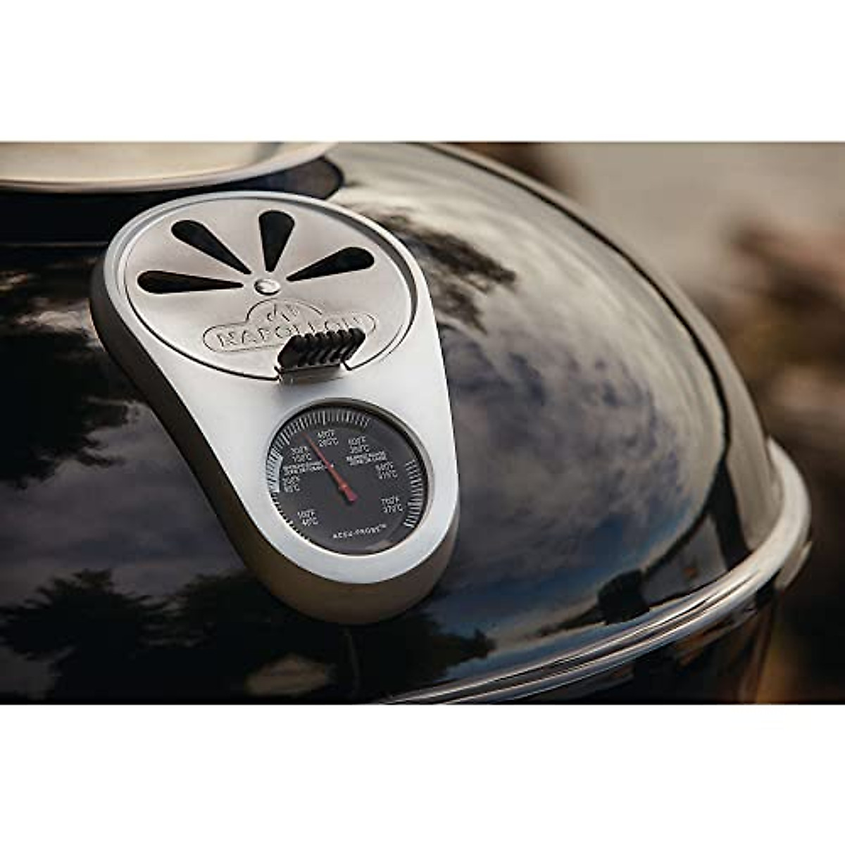 Napoleon NK22K-LEG-2 Built in Grills, Black