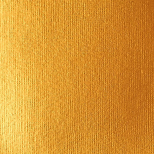 Liquitex BASICS Acrylic Paint, 400ml (13.5-oz) Bottle, Gold